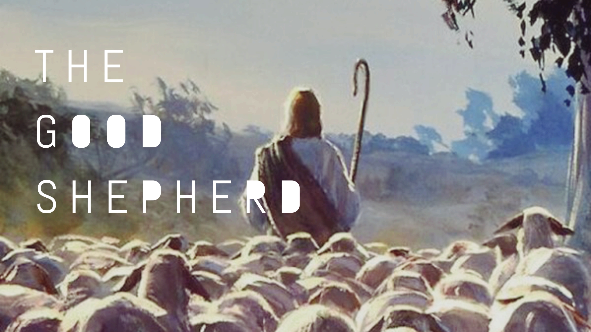 Sheep and Shepherds – CoffeeBreak With The Word